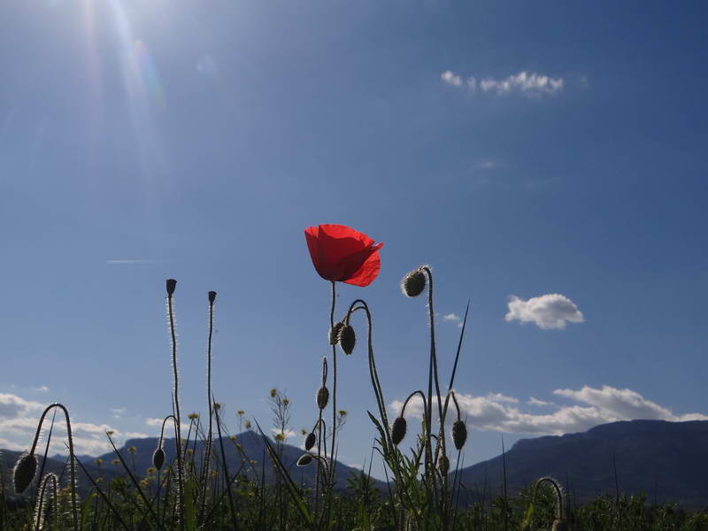 Mes randonnées: Les Balcons du Rousine