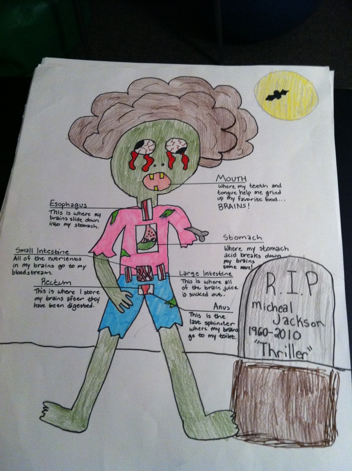 Half-Past Kissin' Time: Lessons in Zombie Anatomy