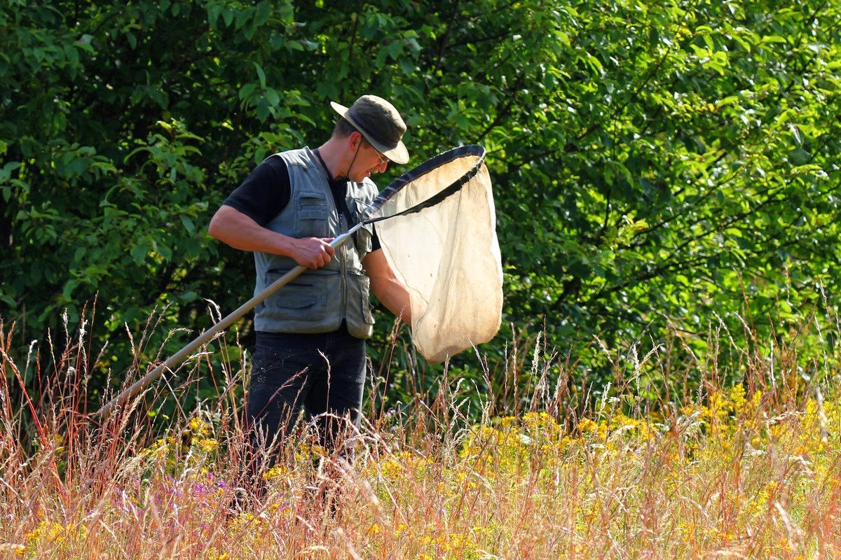 Lepidoptera et vinum: Estonian Society of Lepidopterologists'
