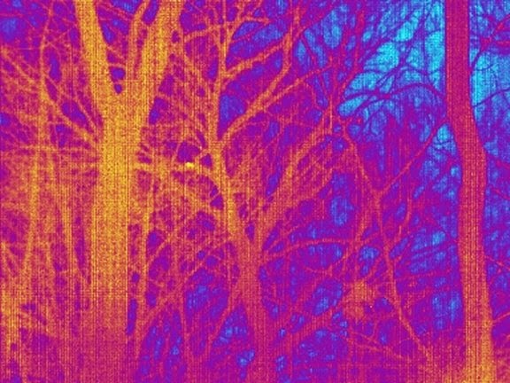 Infrared Birding: Welcome to Infrared Birding