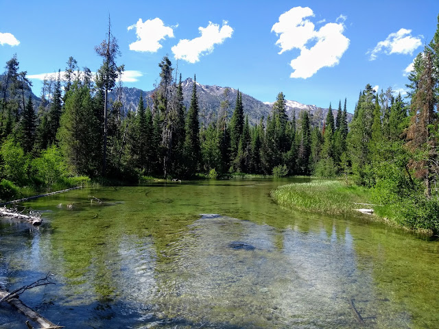 Passing through Jackson... Cliff Jumping at Phelps Lake