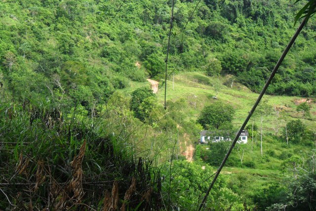BIONEL: AS MATAS E OS PEQUENOS PRODUTORES RURAIS