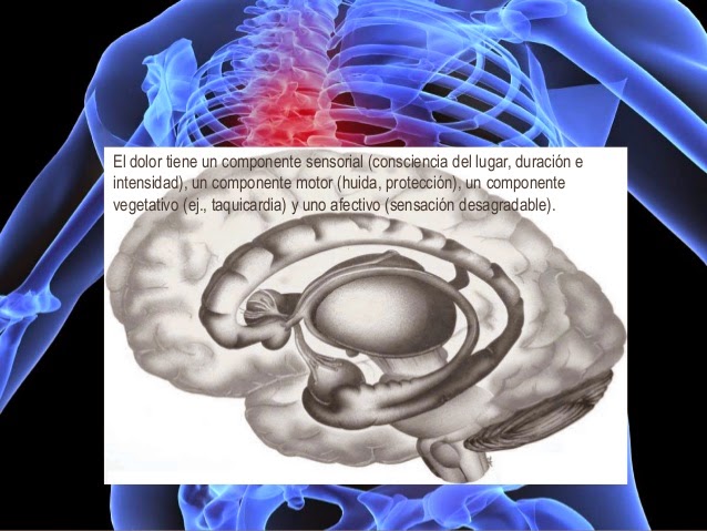 -FisioINSIDE-: EL DOLOR PSICOGENO Y LA SALUD