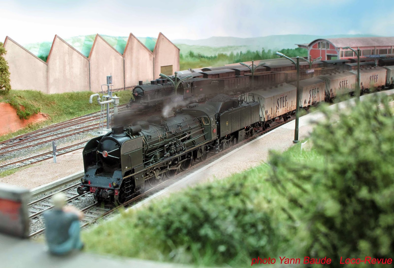 Loco-Revue: REE : la 231 K 8 en version années soixante, chez votre ...