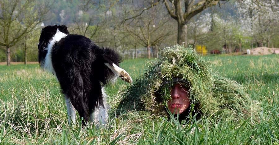 ThrillWriting: Is Your Hero a Sheepdog? Character Development for Writers