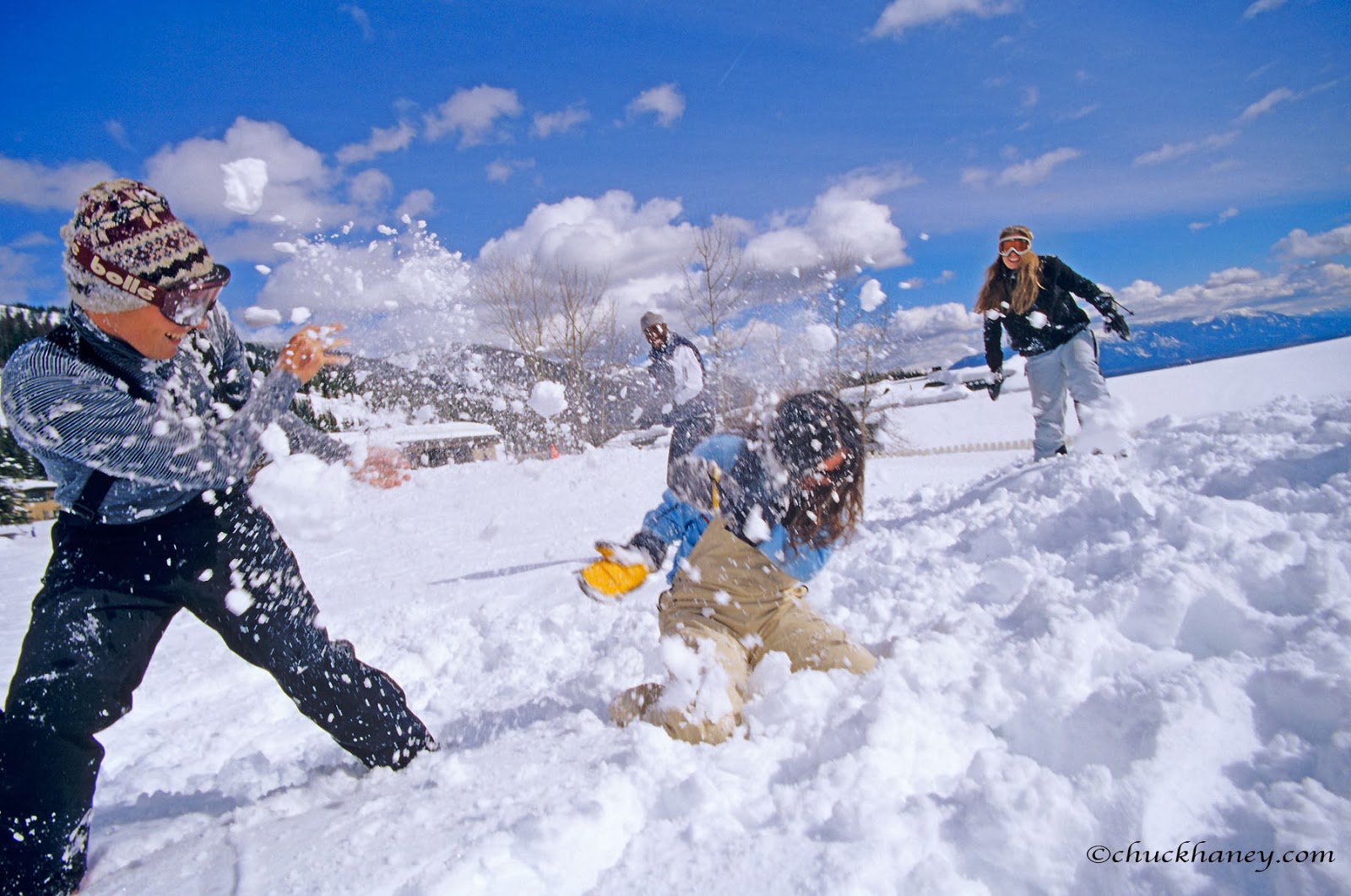 L.A.Fing out loud!: Bernabear's article...