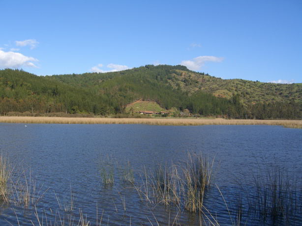 Región del Maule: Reserva Nacional Laguna Torca