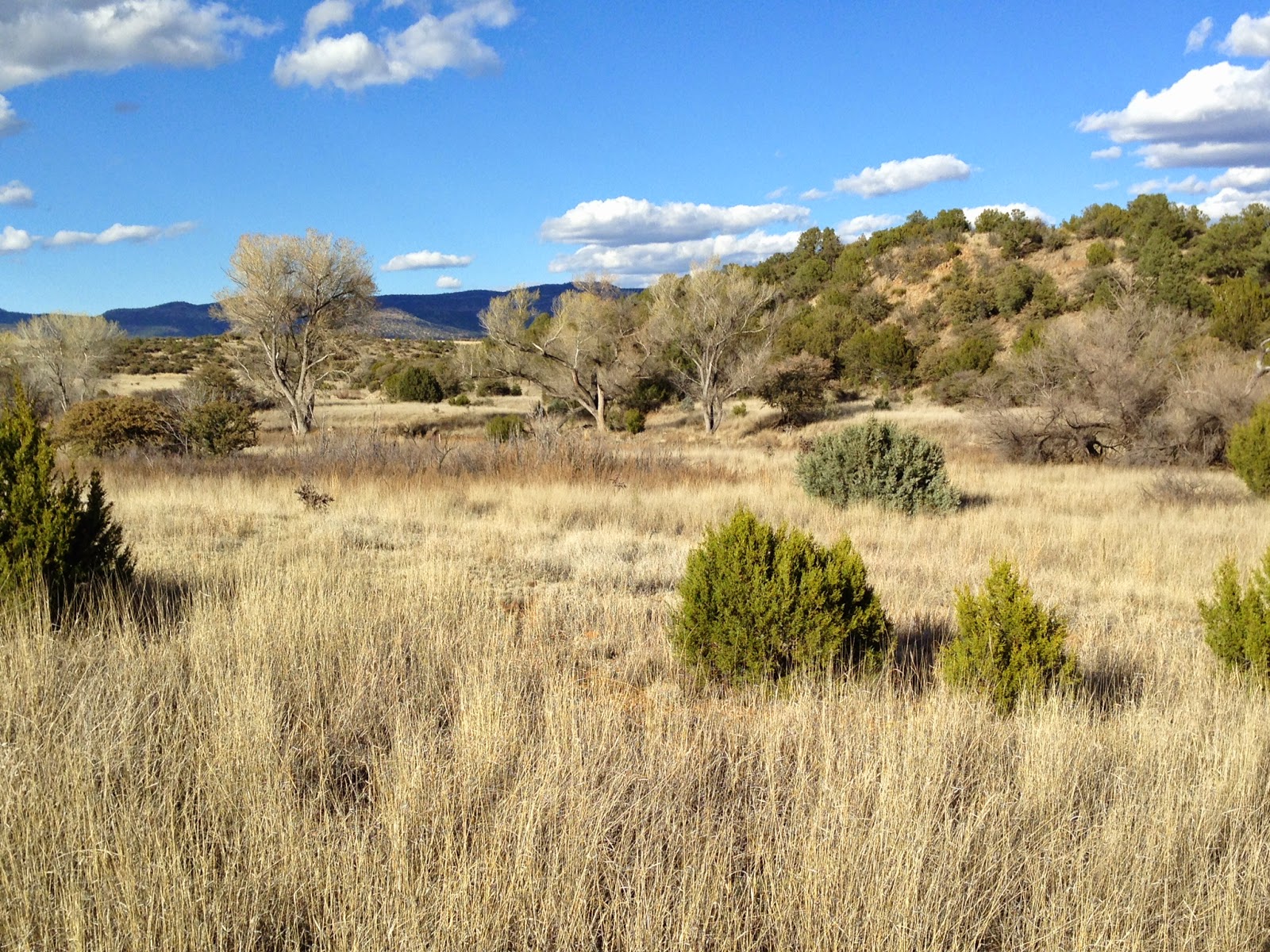 Southern New Mexico Explorer: Old Highway 260( FT 260) , Ft. Bayard ...