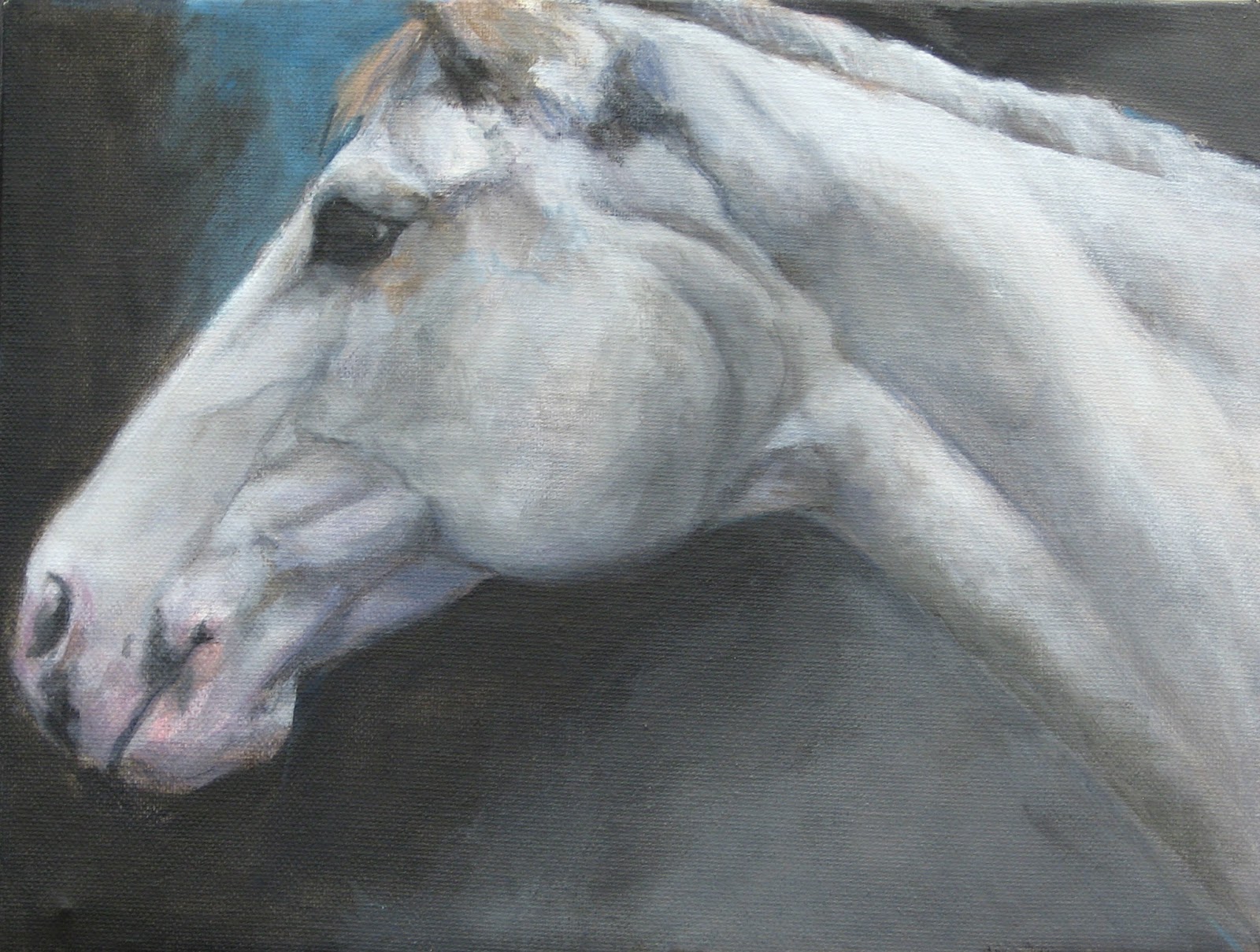 TINA FONG Paintings: Horses