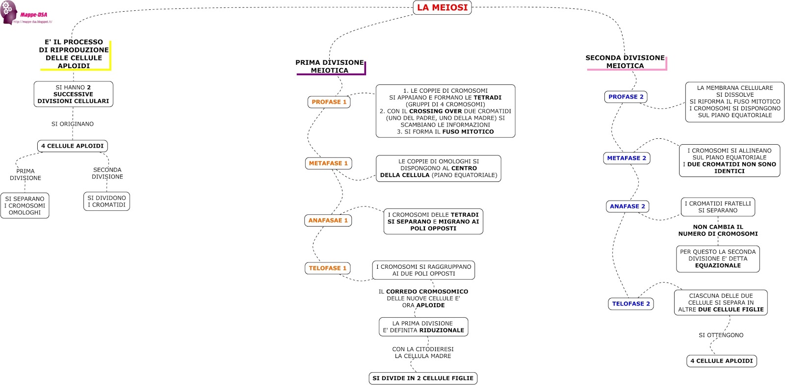 Mappe-DSA: un aiuto alla dislessia