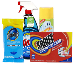 Mundo Das Marcas: SC JOHNSON