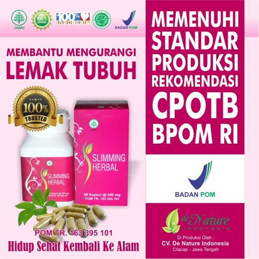 obat pelangsing badan cepat aman | OBAT PELANGSING TUBUH