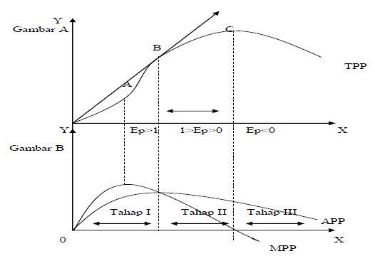 Teori Produksi Berdasarkan Pendapat Para Andal [Lengkap] - Portal Edukasi