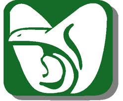 instituto mexicano del seguro social (imss)