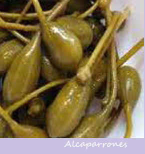 arbustosensevilla-encinarosa: Alcaparro / Capparis spinosa ...