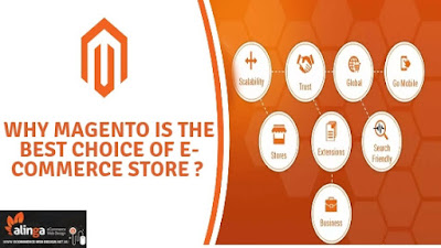 Alinga Ecommerce: Why Magento Is The Best Choice Of E-Commerce Store