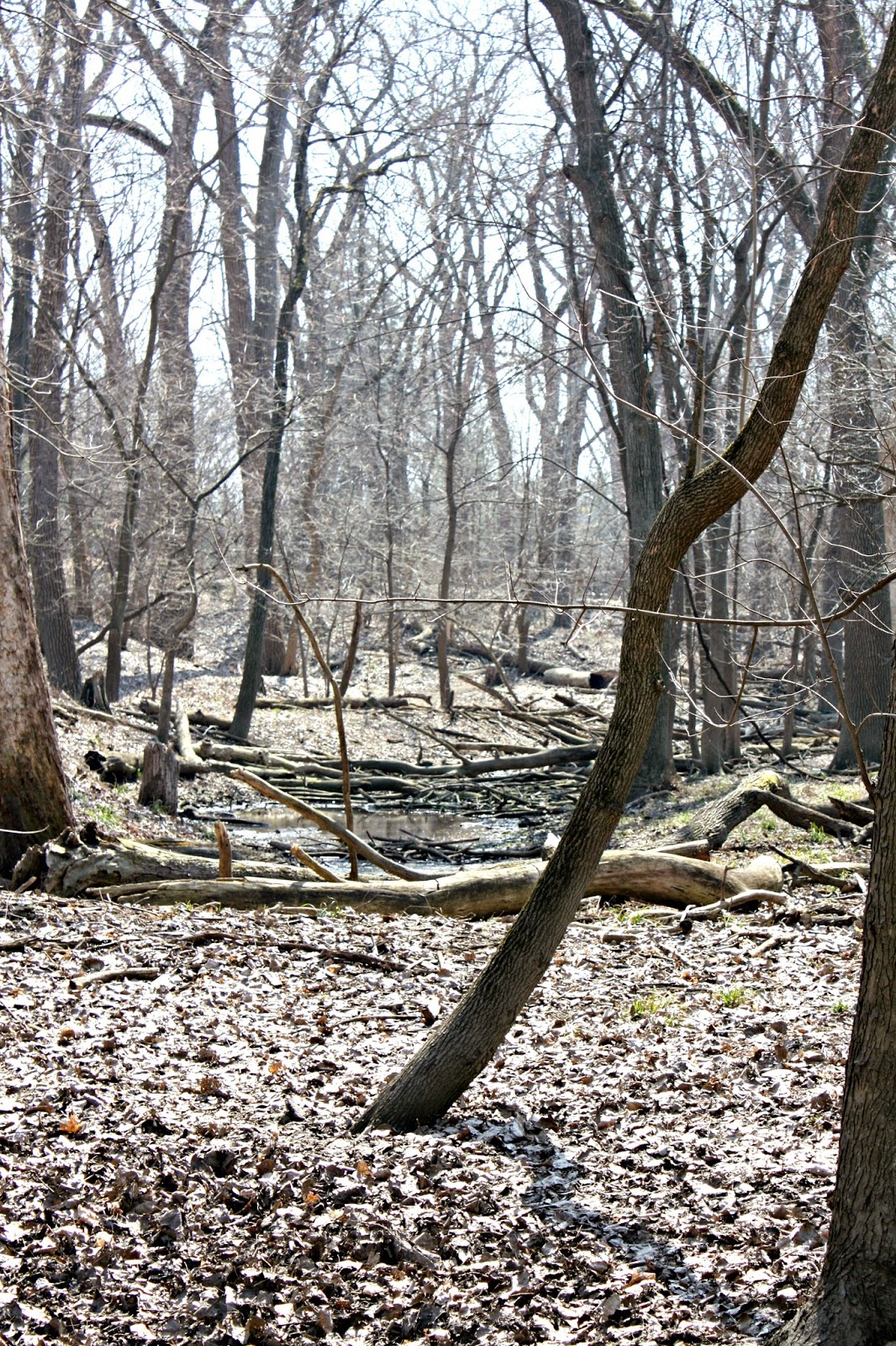 A Little Time and a Keyboard: Trailside Museum of Natural History in ...