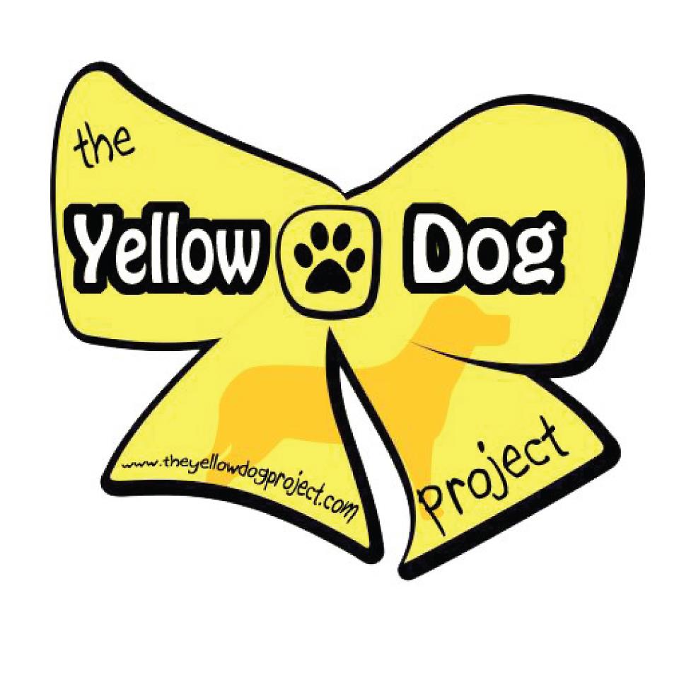Biały Maltan: Yellow Dog Project, czyli co oznacza żółta wstążka?