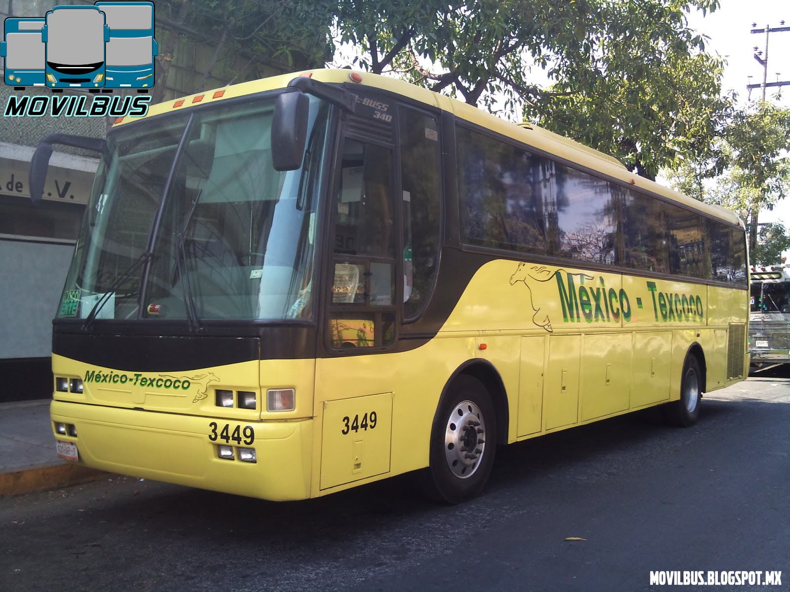 Más de 100 fotografías de los autobuses de Grupo Texcoco.
