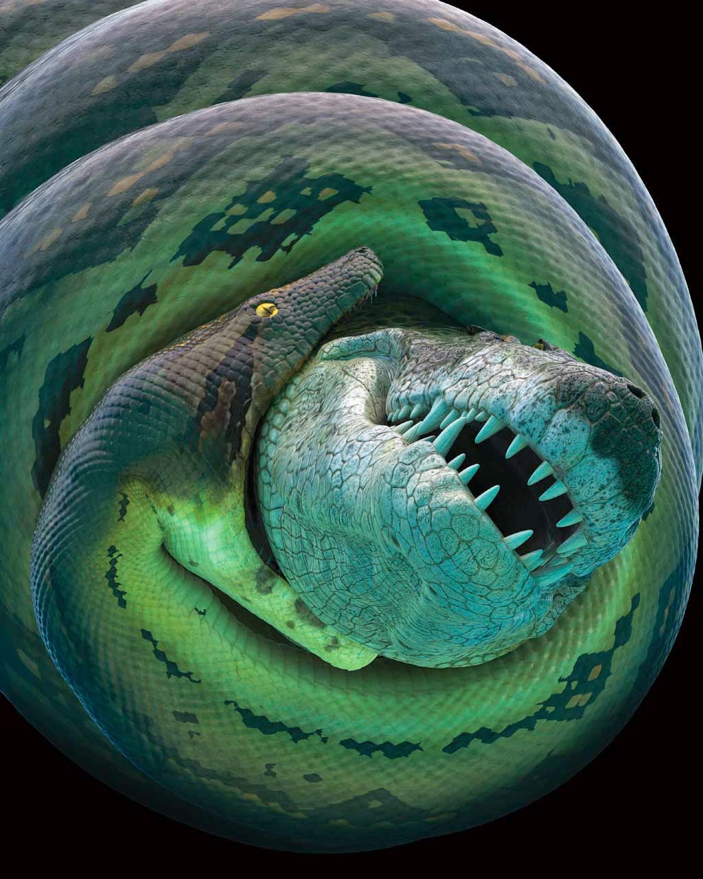 Species New to Science: [Paleontology • 2014] Anthracosuchus balrogus ...