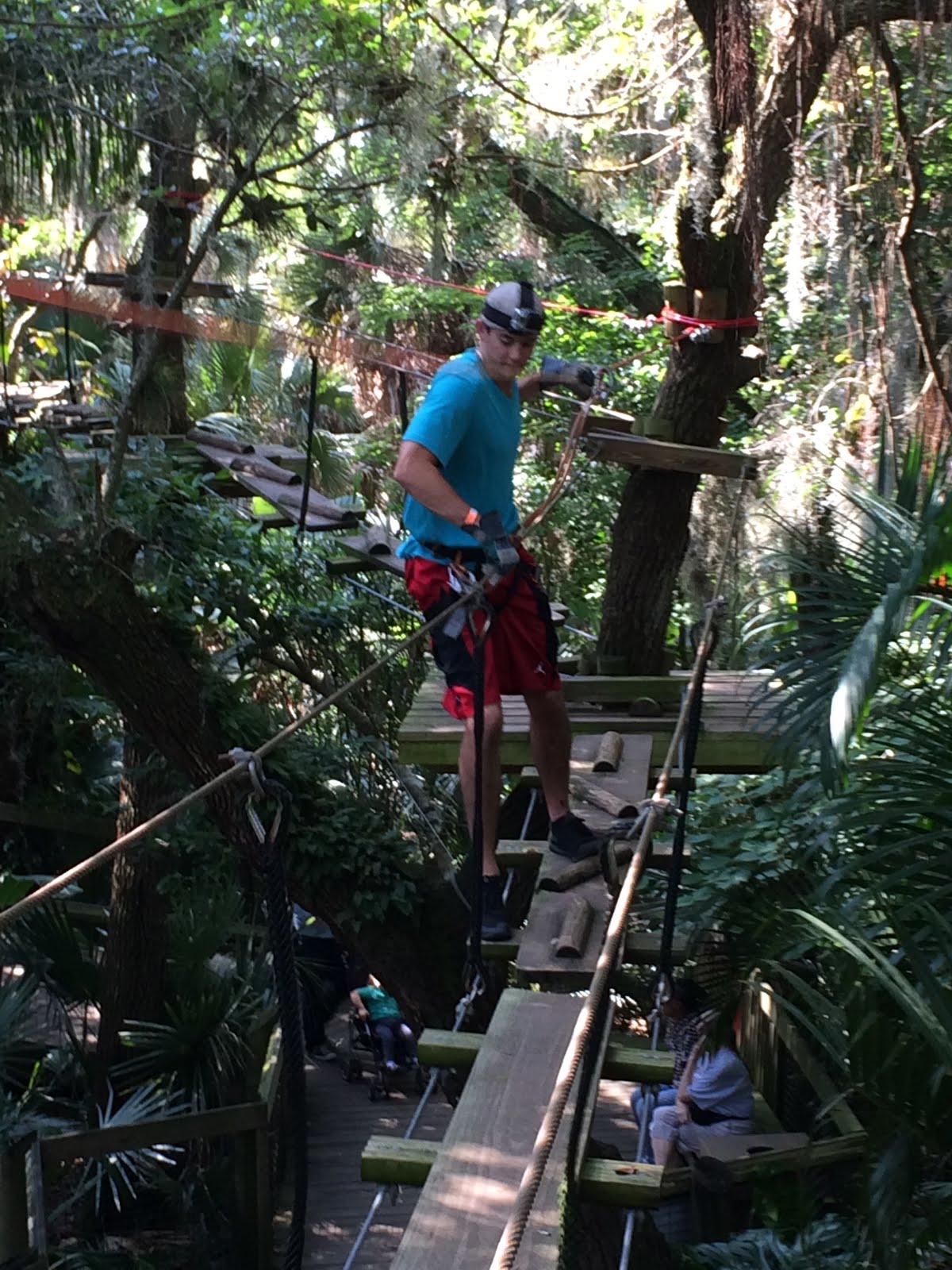 Peregrine Woman on the Space Coast: Treetop Trek Aerial Adventure Park ...
