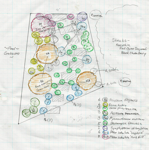 Native Plants with Adams Garden: New Sloping Path