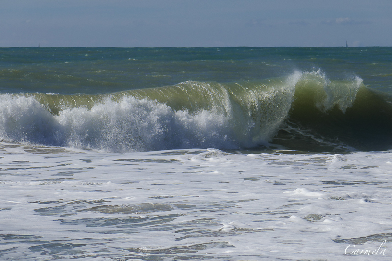 mi fular : Inmenso mar