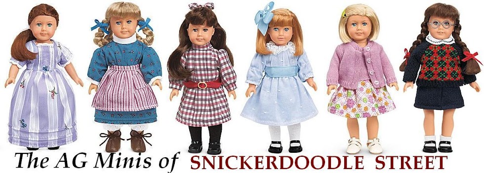 Karen Mom of Three's Craft Blog: Pre Order a Saige Mini Doll - Are Mini ...