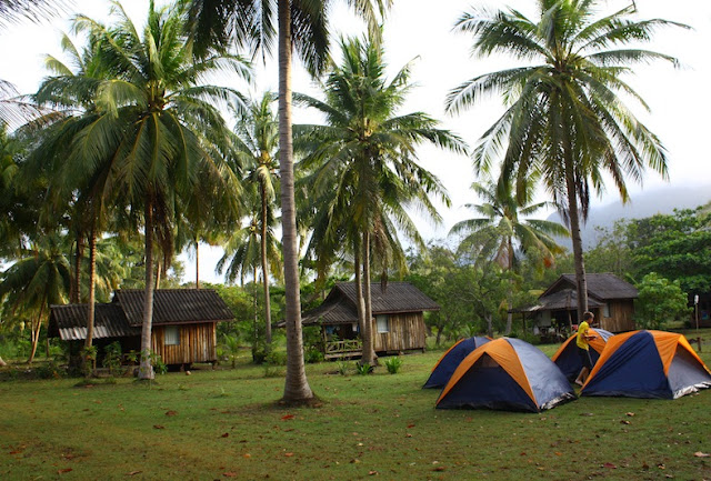 Coconut Home