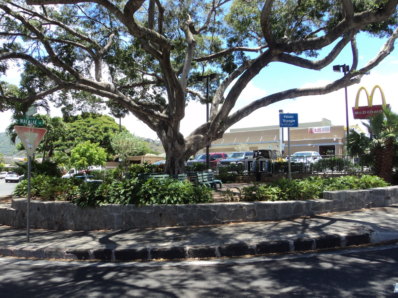 Hikes, City Parks & Farmer's Markets: Palolo Triangle