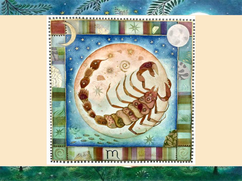 Soloillustratori: Jane Ray