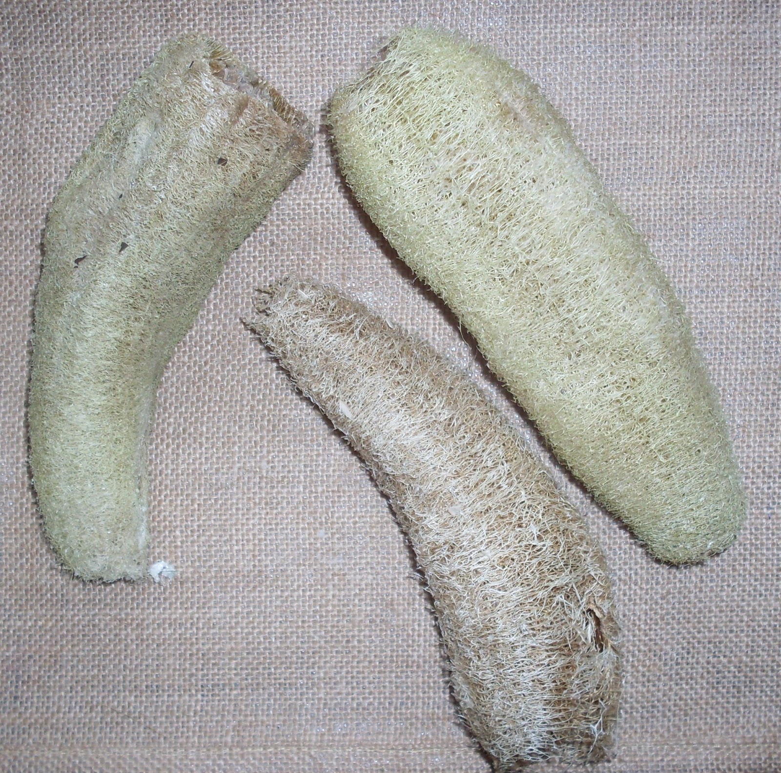 Мој сапун...: Урбана луфа