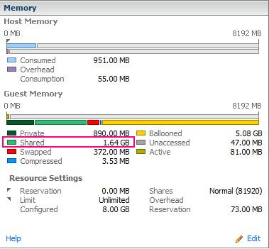 Elastic Sky X: VMware Memory Management