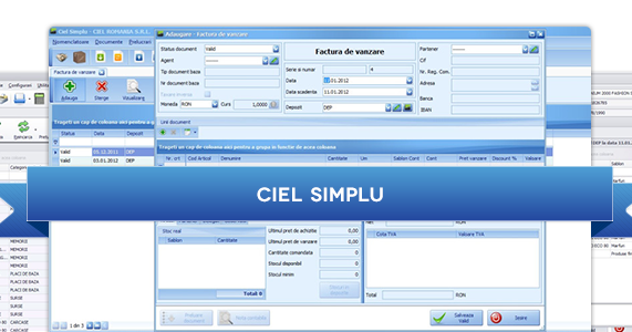 Gândureala: Programe de contabilitate primara