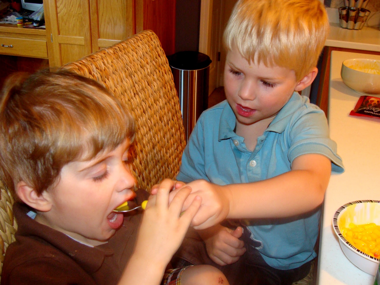 The (mis)Adventures of William Alexander: Little Boy Cousins...