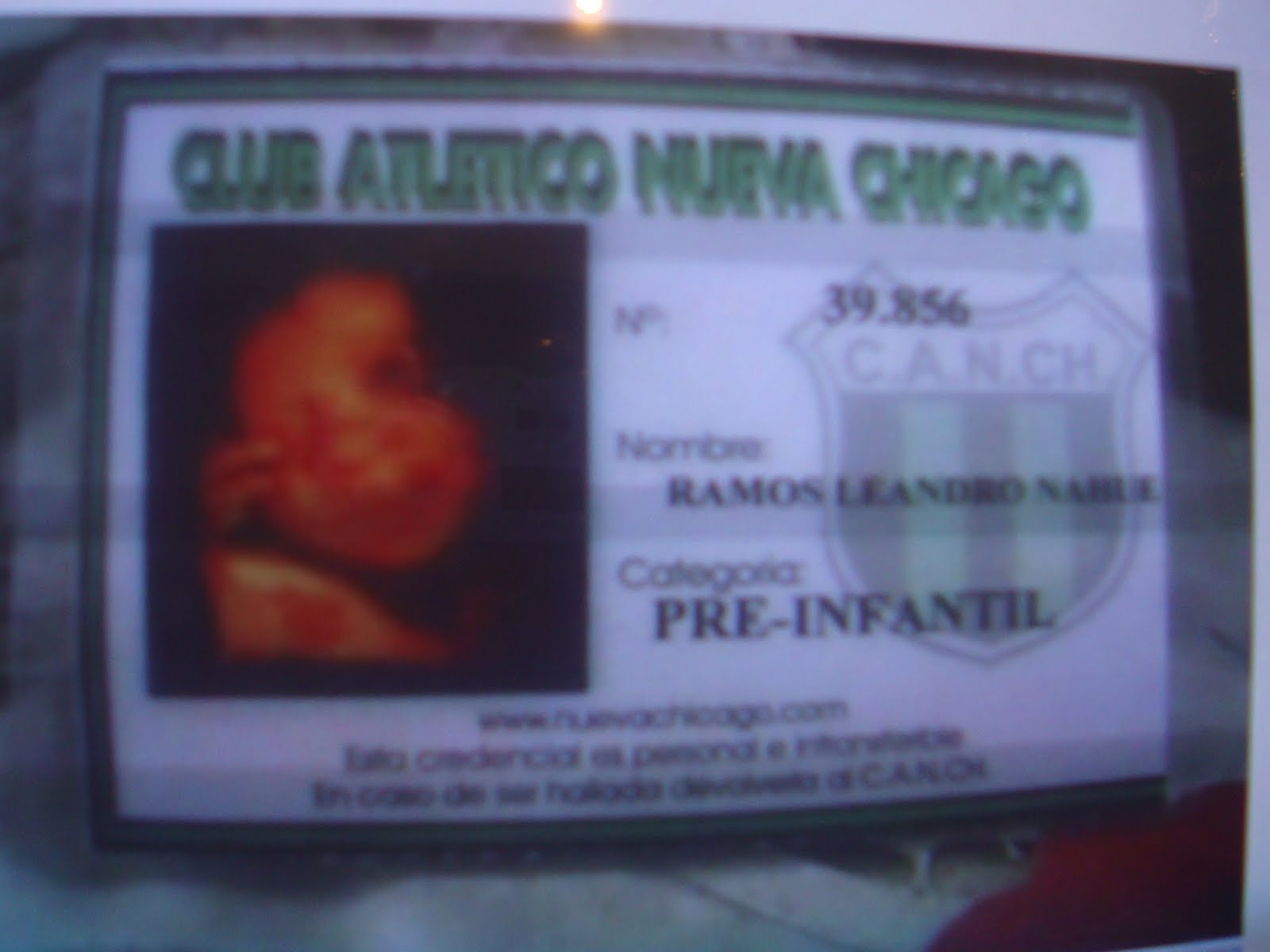 Chicago y Nada Más: La Voz del Hincha: SOY DE CHICAGO DESDE LA PANZA