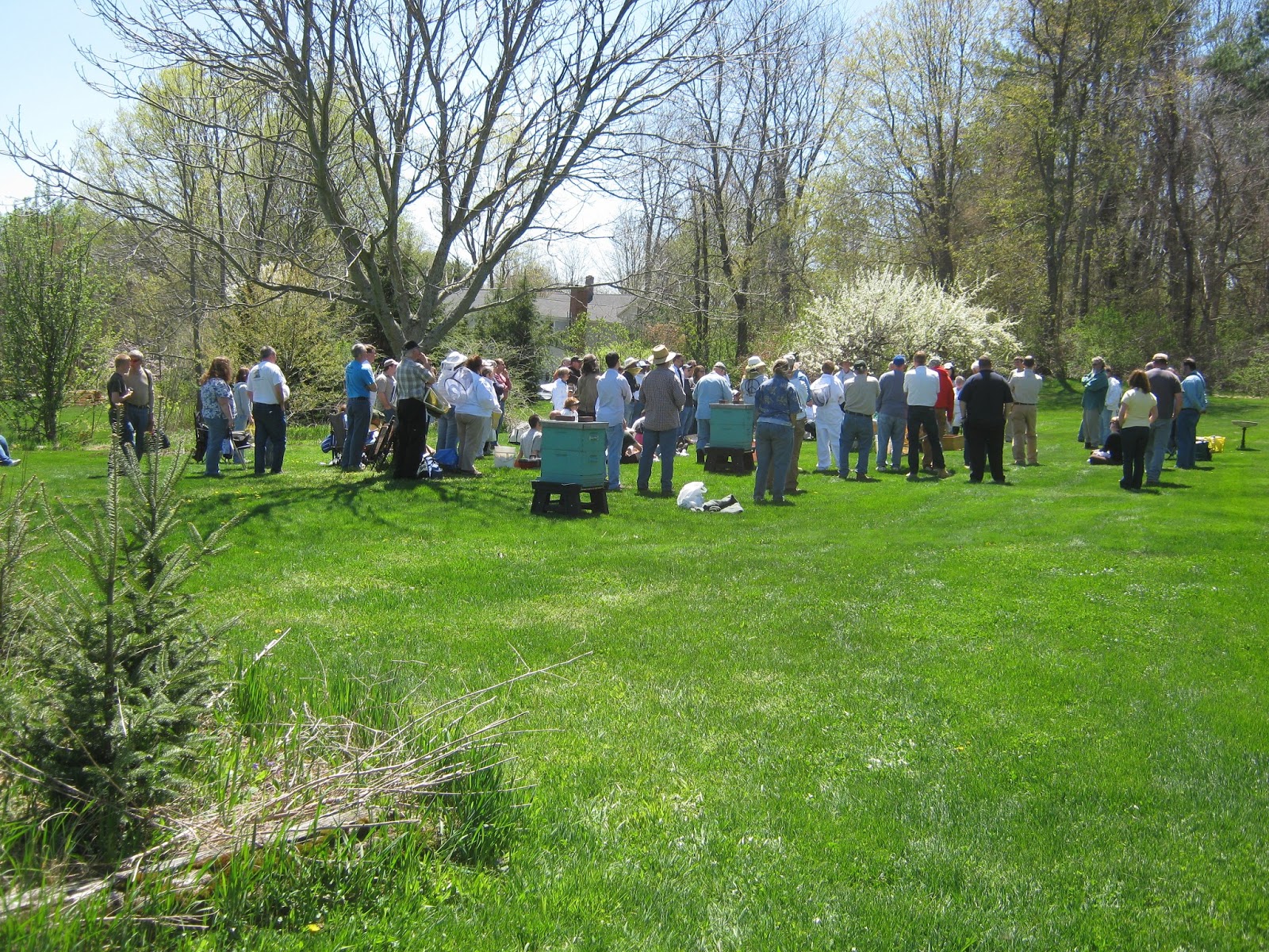 Steven's Bees: First Outdoor Bee Meeting, and a Quick Check