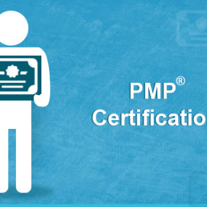 Project Management Dictionary