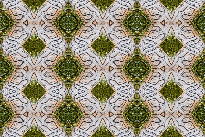 On Photography: Mirror-Tessellation Photography by example