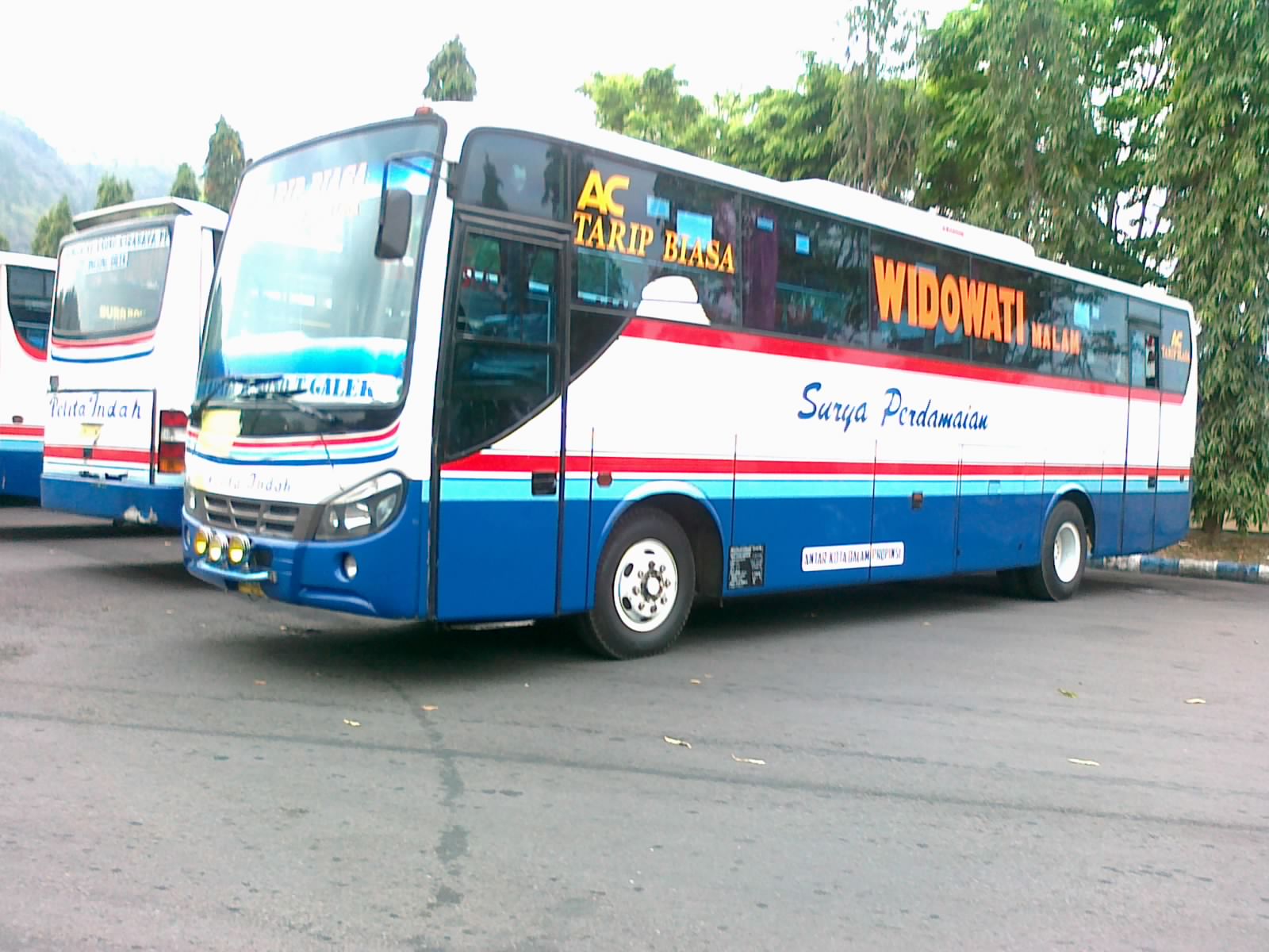 Penggemar Bus Indonesia Po Pelita Indah Gorup Surabaya Trenggalek Dengan Tulisan Khas