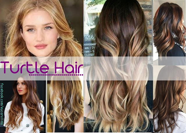 Turtle Hair - A mais nova tendencia capilar para 2015! - Eu, Carolina