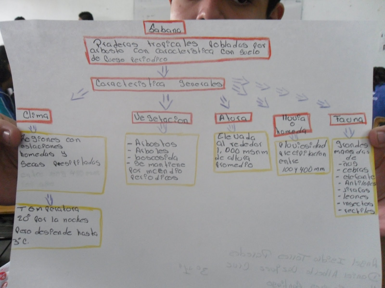 GEOGRAFIA Y MEDIO AMBIENTE: mapa conseptual de la sabana y estepa