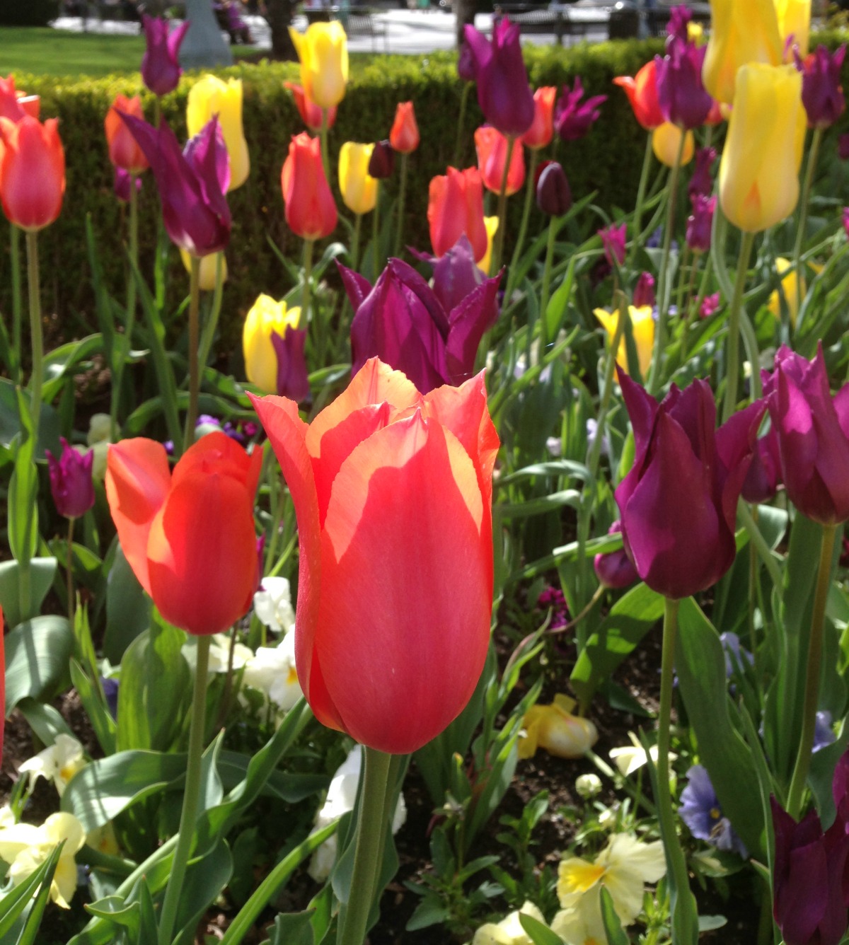 .Quiltscapes.: Oh, Happy Day!