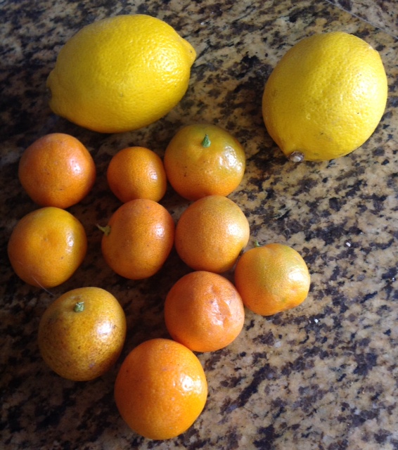 Aloha Yinz Mangia: Outdoor Easter and Traveling Cannolis