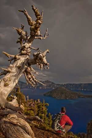 Scott Spiker- Journey