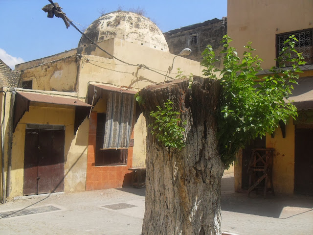 Un día en Mequinez (o Meknes) en Marruecos: qué ver y consejos