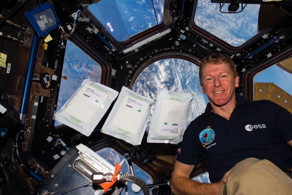 Astronot Pertama Inggris Timothy Peake Bakal Pulang ke Bumi Akhir Pekan ...