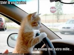 The Extra Mile: The Extra Mile in Photos ( funny)