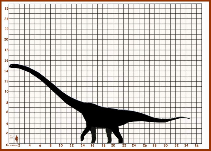 Dino Exploria: Mamenchisaurus