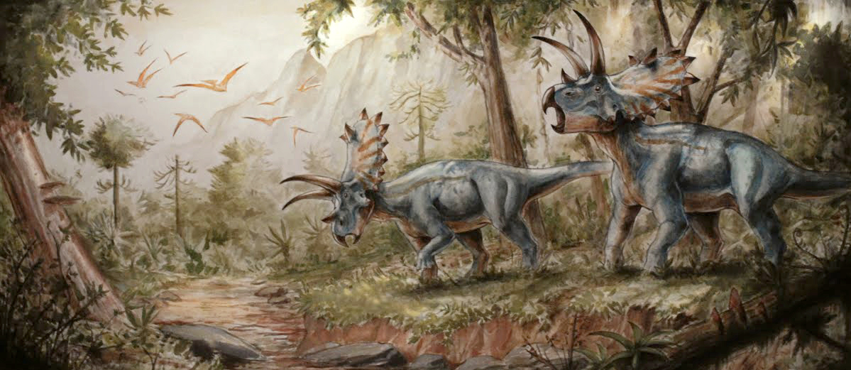 jonathan kuo artwork